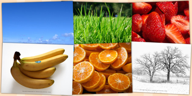 French Colours Photo Clip Art Pack (creat de profesori)