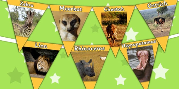 Safari Animal Photo Bunting (teacher made)