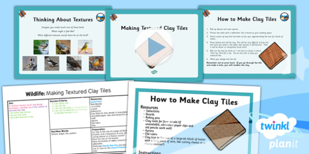 Art: Wildlife: Making Textured Clay Tiles UKS2 Lesson Pack 4
