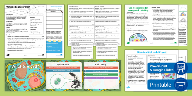 6th Grade Science Cells Worksheets Cell Wall Science Sixth Grade