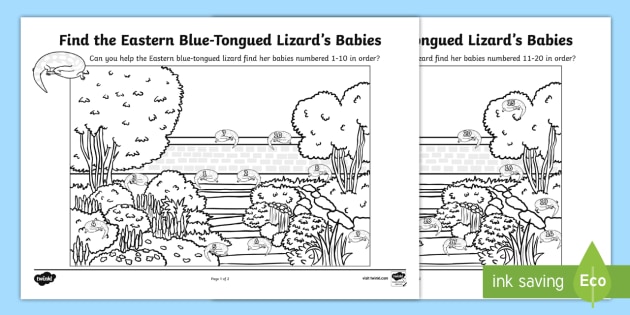 Eastern Blue-Tongued Lizard Number Recognition Worksheet / Worksheet