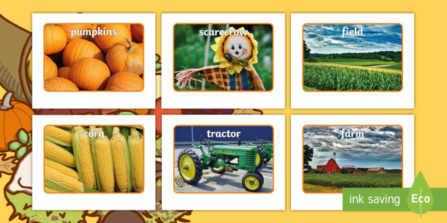 Harvest Photos (teacher made)