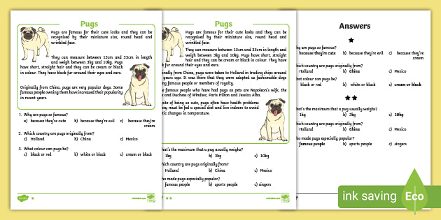 Pug Dogs Reading Comprehension Activity