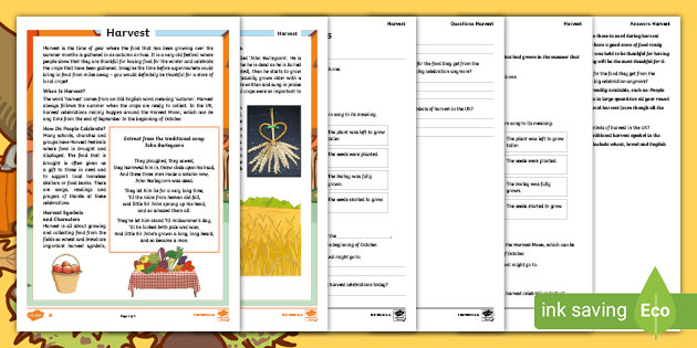KS2 Harvest Comprehension Activity (teacher made)