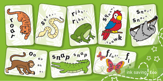 Rainforest Animals List A Z