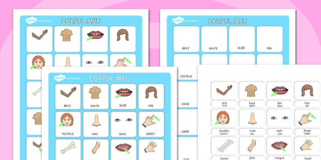 Corpul meu - Găsește cartonașele (teacher made)