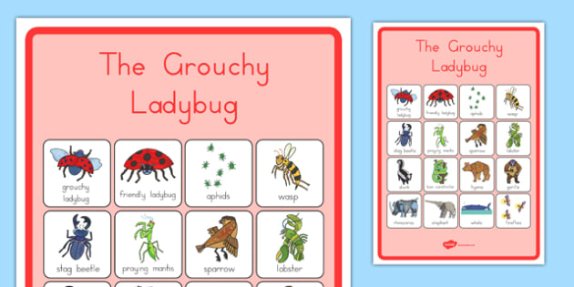 The Grouchy Ladybug Vocabulary Poster