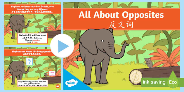 All About Opposites PowerPoint - English/Mandarin Chinese
