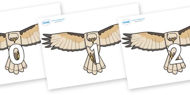 FREE! - Numbers 0-50 on Hawks (teacher made)