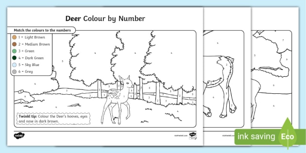 FREE! - Deer Colour by Number Pages (teacher made)