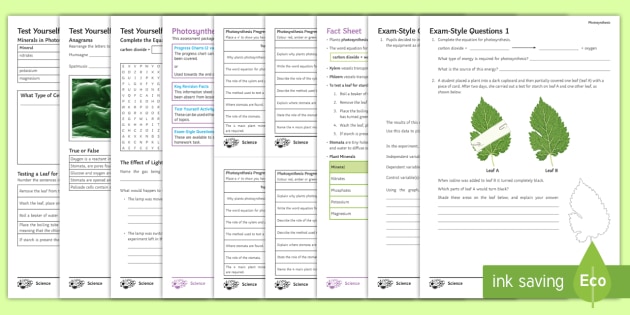 KS3 Photosynthesis Revision Pack | KS3 Biology | Beyond