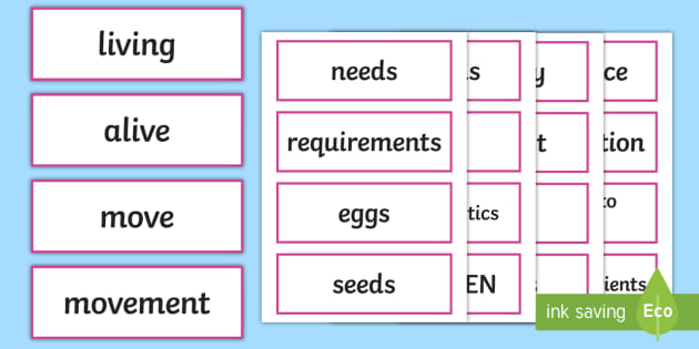 Living Things Word Wall (teacher made)