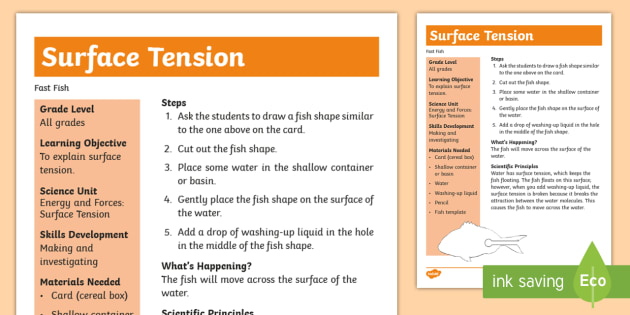 Surface Tension Science Experiment