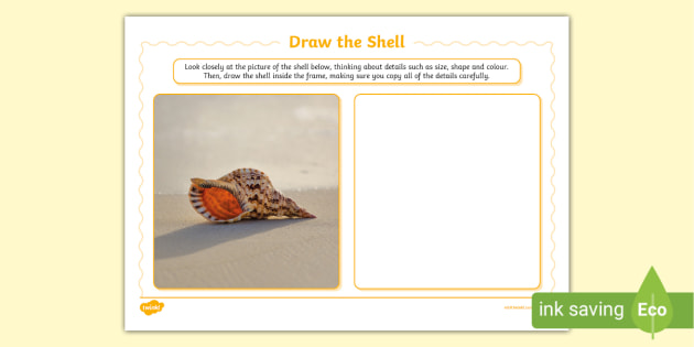 Draw a Shell Art Activity,beach art (teacher made)