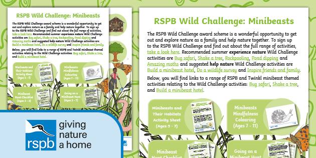 FREE! - RSPB Wild Challenge: Minibeasts (teacher made)