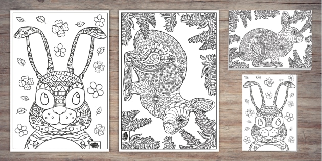 Rabbit Mindfulness Colouring Pack | Twinkl Party