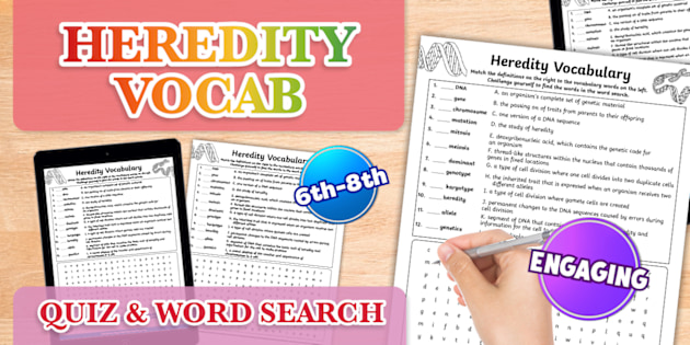 Eighth Grade Word Searches | twinkl.com