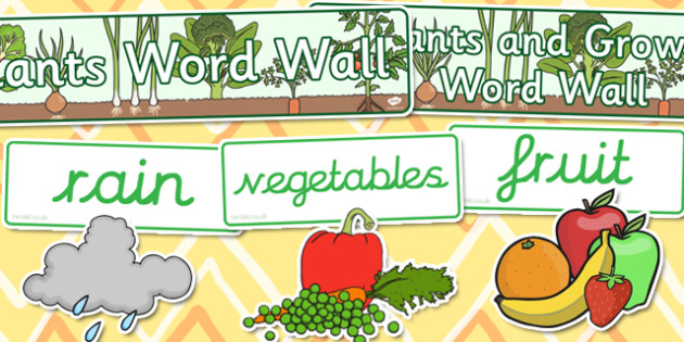Plant and Growth Word Wall Pack (teacher made)