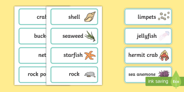 Seaside Rock Pool Word Cards