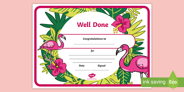 Tropical Flamingo Class Award Certificate (teacher made)