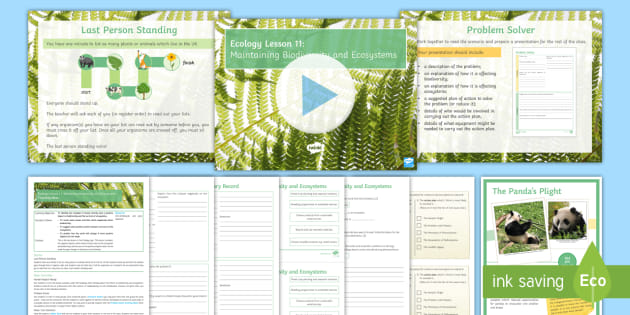 Maintaining Biodiversity | AQA Biology | Beyond