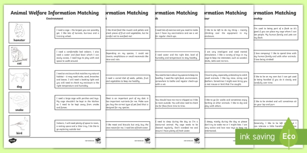 Animal Welfare Information Matching Activity (teacher made)