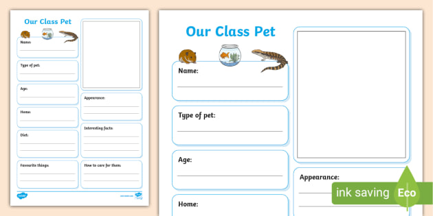 Our Class Pet Fact File Template (teacher made)