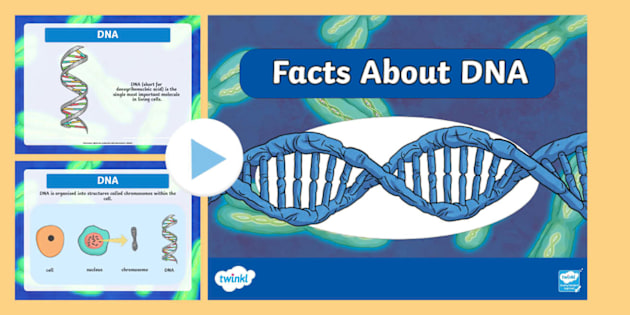 PowerPoint DNAs | twinkl.com.au