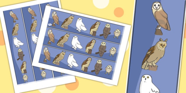FREE! - Owl Display Border (teacher made)