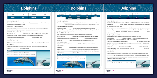 Reading Dolphins | twinkl.com.au