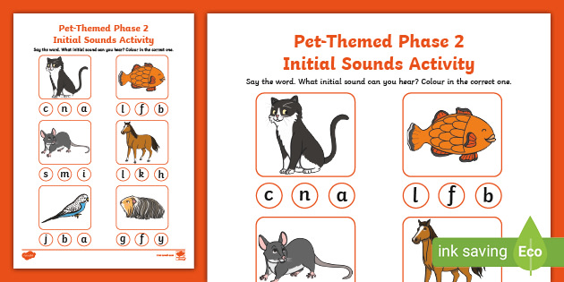 Pet-Themed Phase 2 Initial Sound Activity (teacher made)