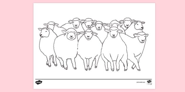 FREE! - Sheep Flock Colouring Sheet - Fun Creative Resource for Kids