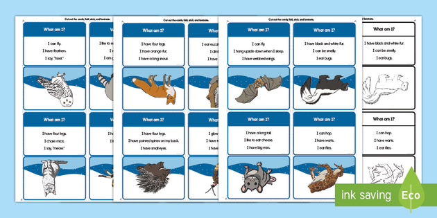 What Am I? Nocturnal Animals Guessing Game (teacher made)
