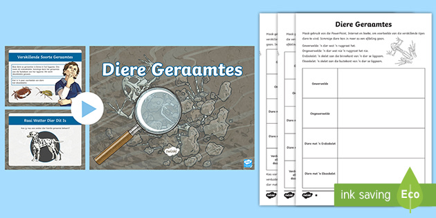 Diere Geraamtes Pakket (teacher made)