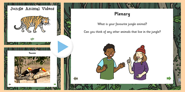 Jungle Video PowerPoint (teacher made)
