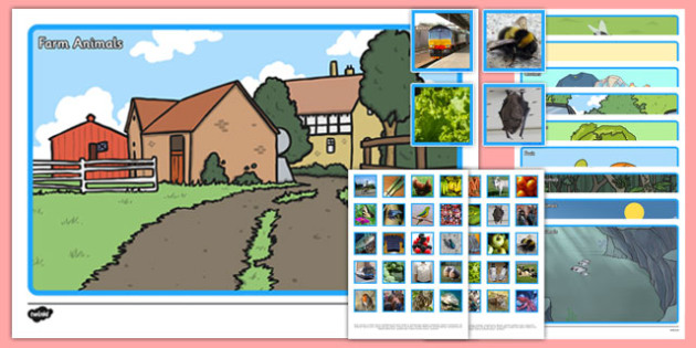 Photo Category Sorting Activity (teacher made)
