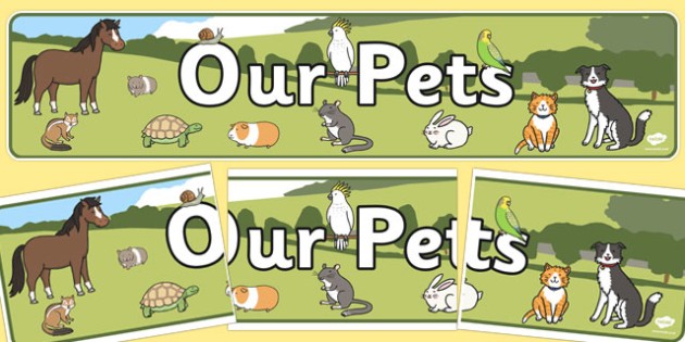 Our Pets Display Banner - display, banner, our pets, our, pets