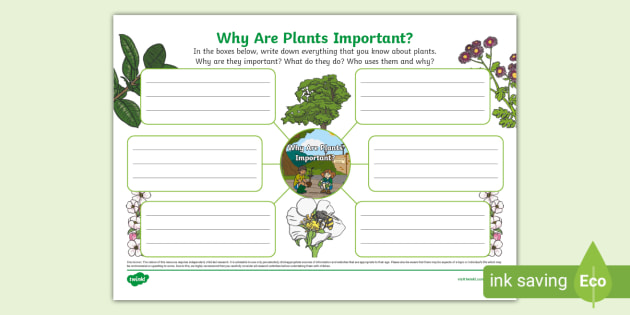 Plants Mind Maps | twinkl.com.au