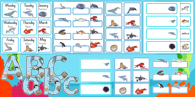 Back to School Under the Sea Resource Pack (Teacher-Made)