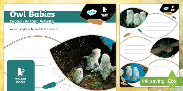 Owl Babies Caption Writing Activity (teacher made)