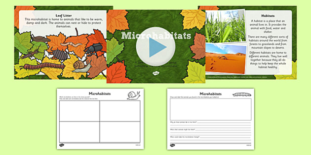 Living Things and their Habitats Microhabitats Lesson Flipchart