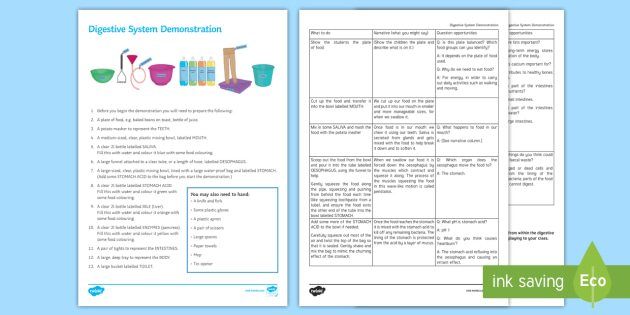Digestive System Model Investigation Instruction Sheet Print-Out