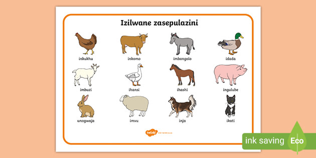 FREE! - Farm Animal Word Mat - Zulu (teacher made)