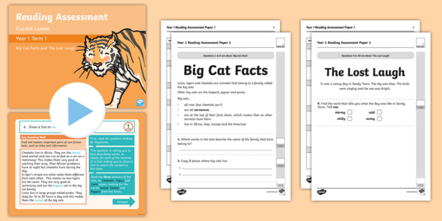 Year 1 Reading paper 1 KS1 - Primary Resources