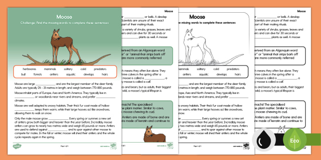 Moose Cloze Activity (teacher made)