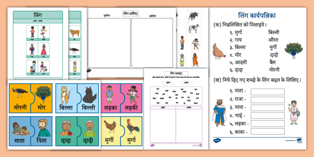 लिंग हिंदी व्याकरण संसाधन पैक Hindi Gender Grammar Resource Pack