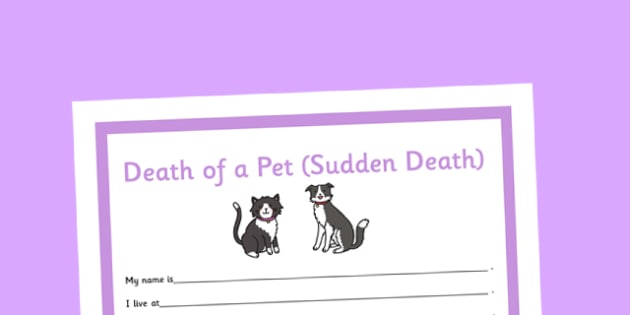 Social Situation Sheet Death of a Pet Sudden Death Primary - social story