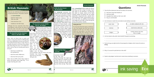 All about British Mammals Differentiated Reading Comprehension Activity