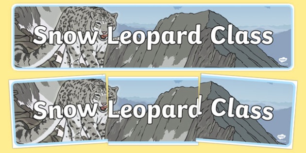 👉 Snow Leopard Class Display Banner
