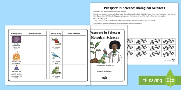 Year 4 Life Cycles Science Passport Booklet (teacher made)